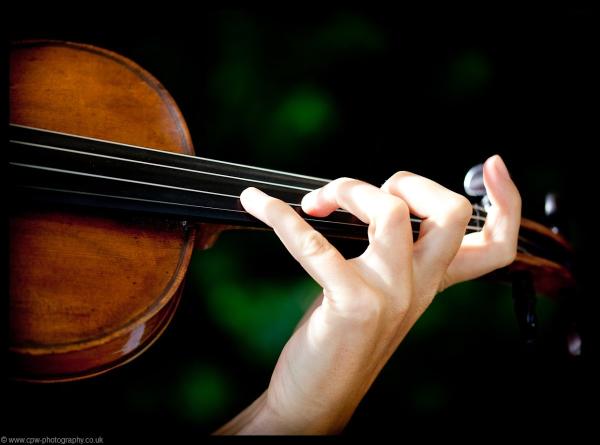 The 10 Best Violin Lessons Near Me - DistinguishedTeaching.co.uk